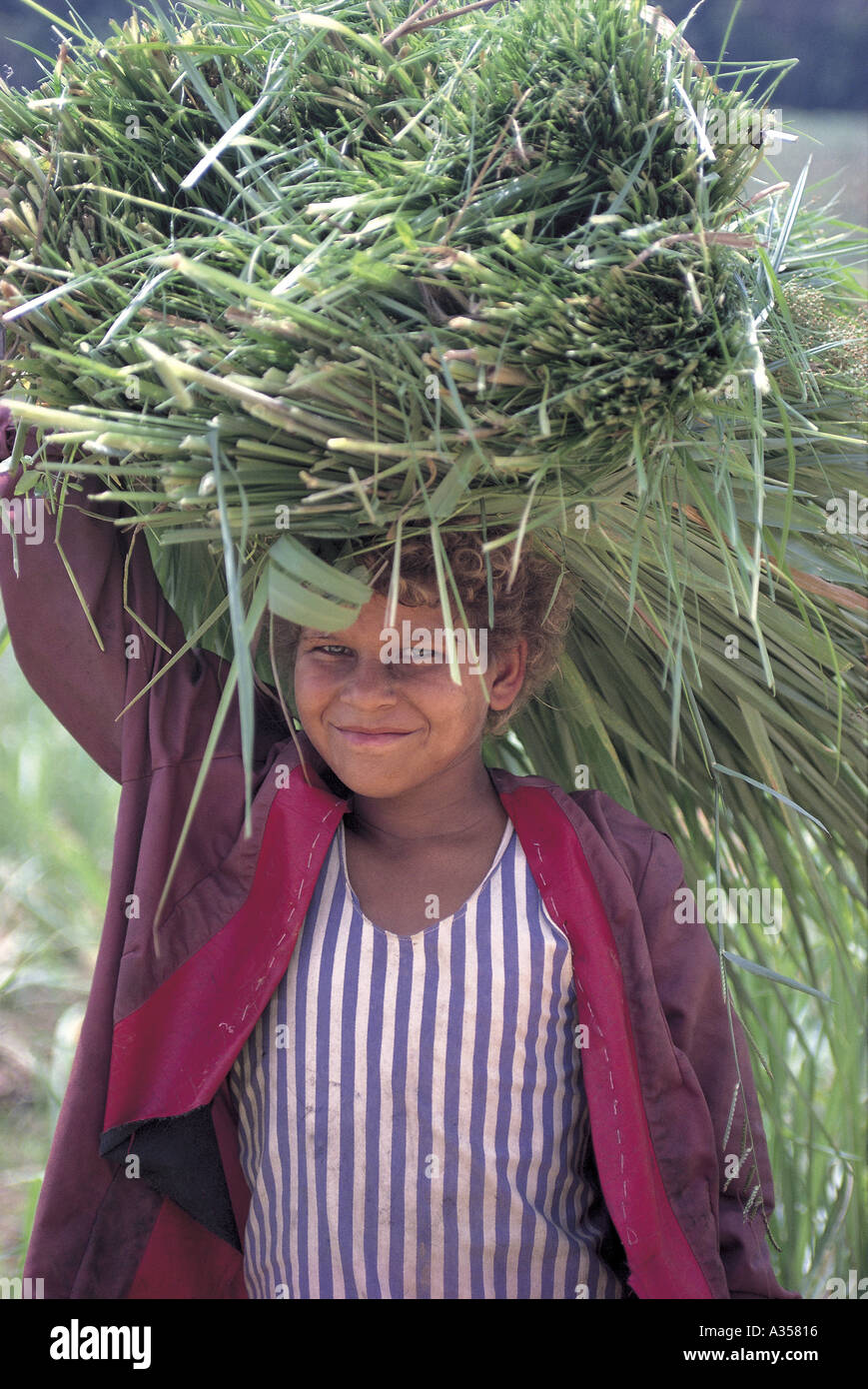 Child farm worker Stock Photo - Alamy