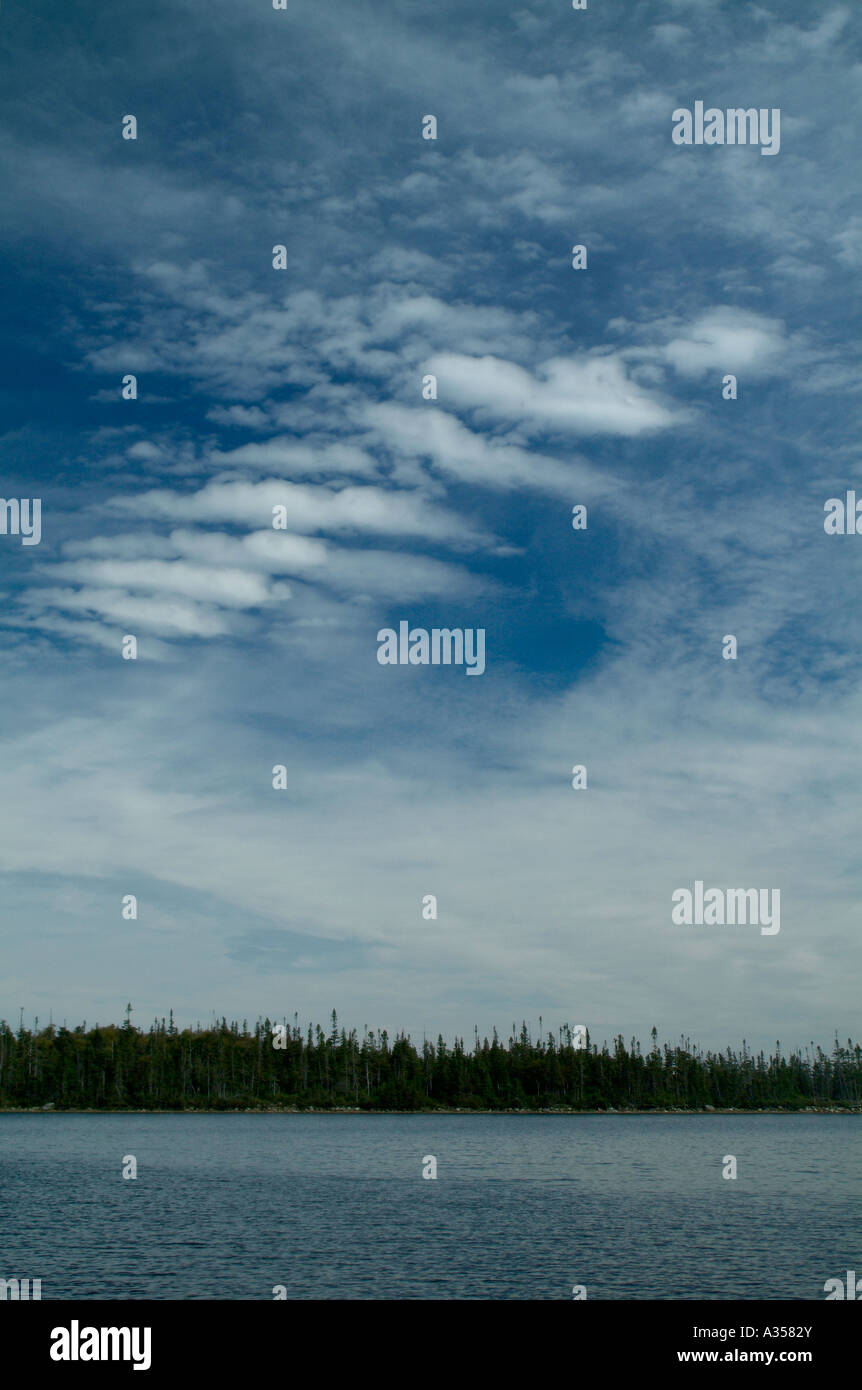 A treeline on the edge of a lake below a blue sky with clouds Stock ...