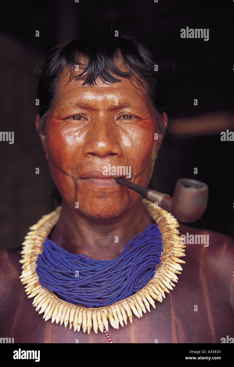 Kayapo tribe hi-res stock photography and images - Alamy