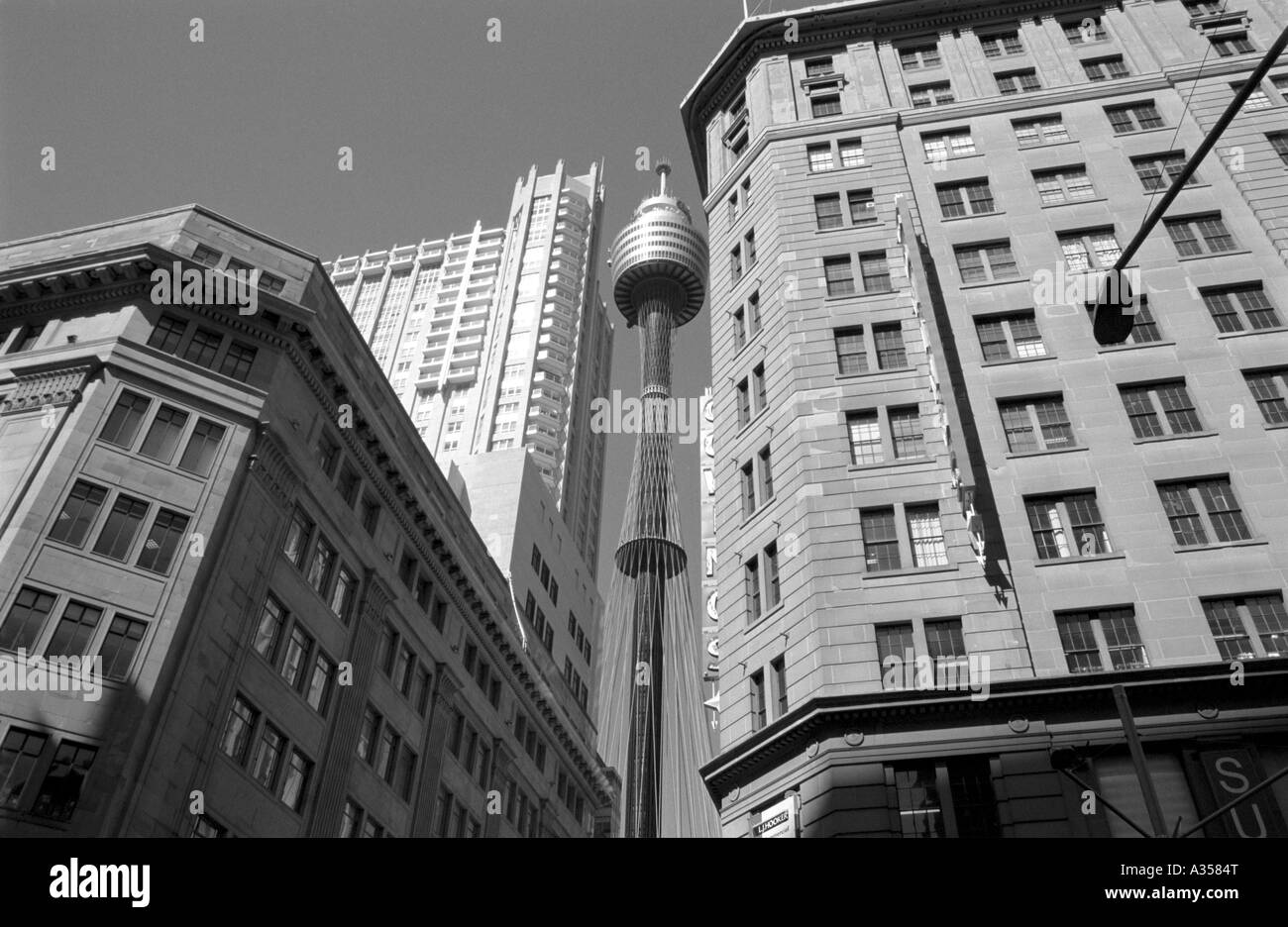 the sydney sky tower in sydney australia Stock Photo - Alamy