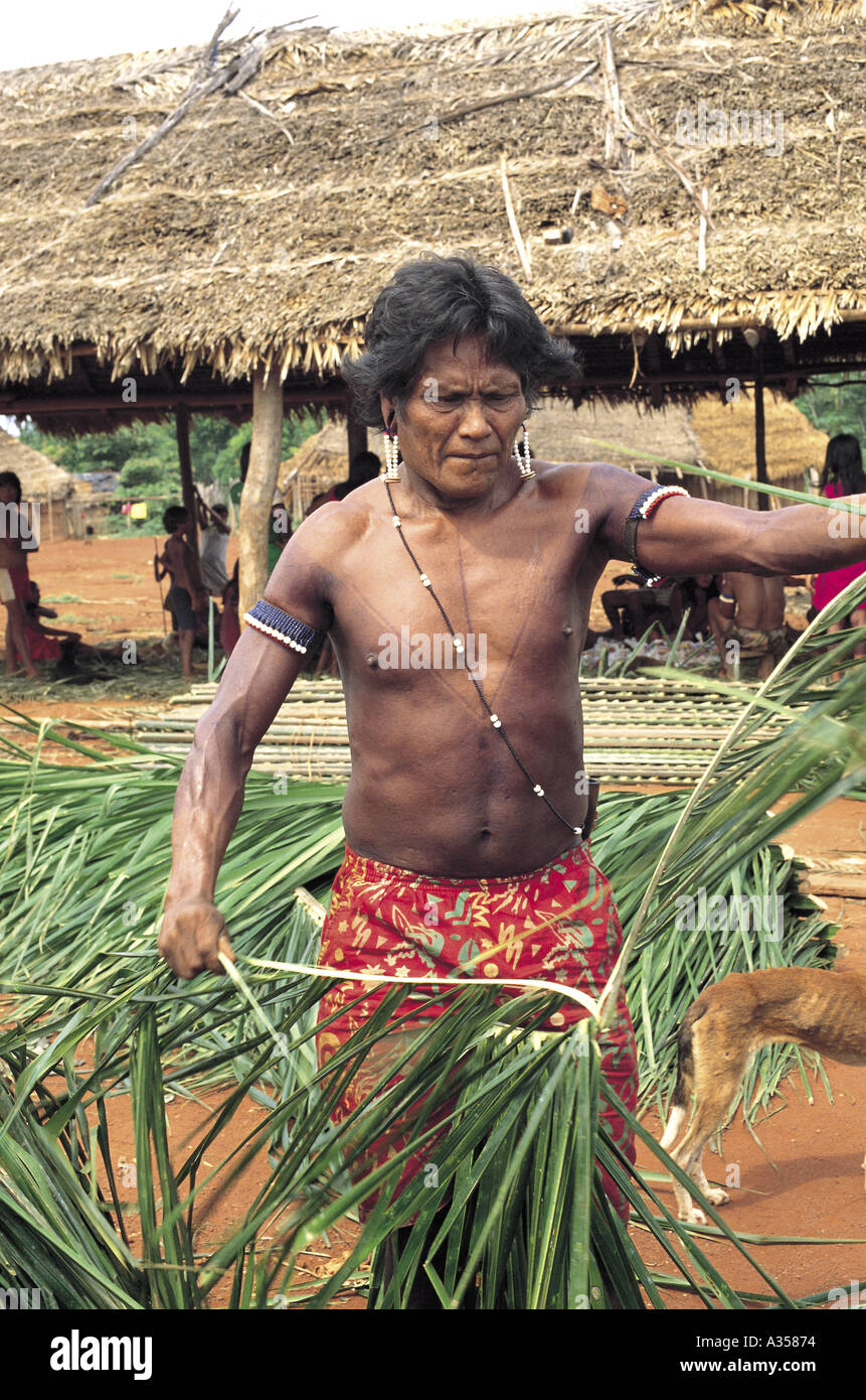 A Ukre village Brazil Kayapo man splitting palm branches for thatching ...