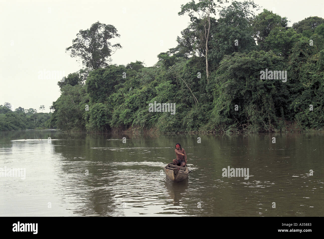 A Ukre Village Brazil Kayapo man paddling a dugout canoe in the early ...