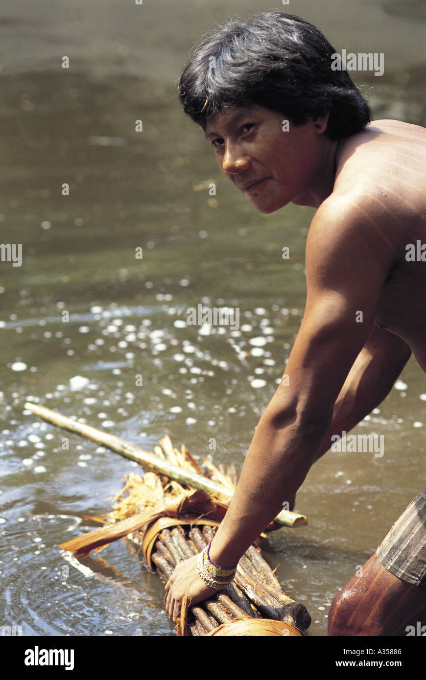 A Ukre village Brazil Kayapo man using timbo lianas hitting them to ...