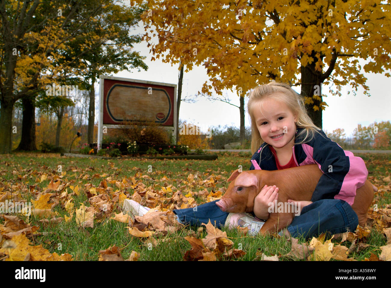 little girl with pig Stock Photo - Alamy
