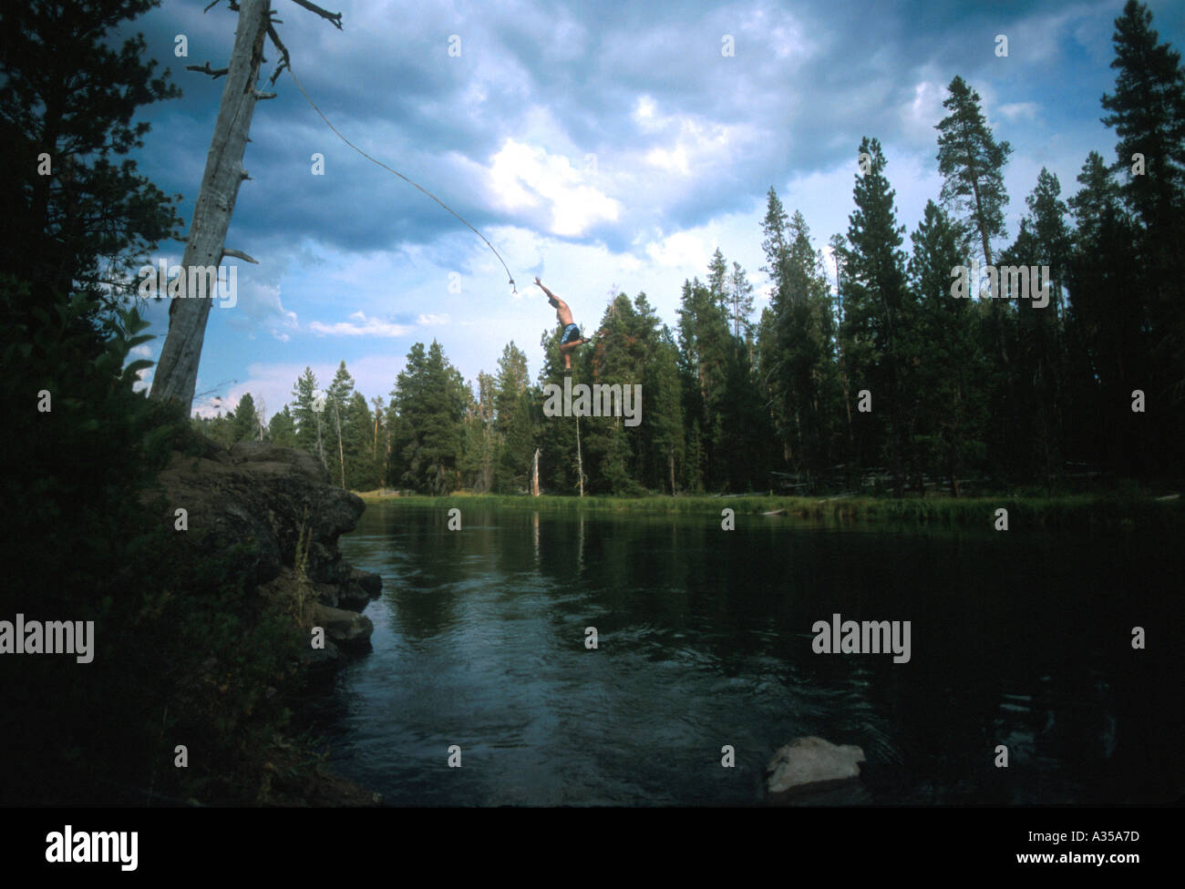 Tree over water rope swing hi-res stock photography and images - Alamy