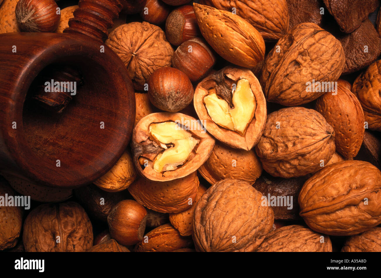Wall Of Shells High Resolution Stock Photography and Images - Alamy