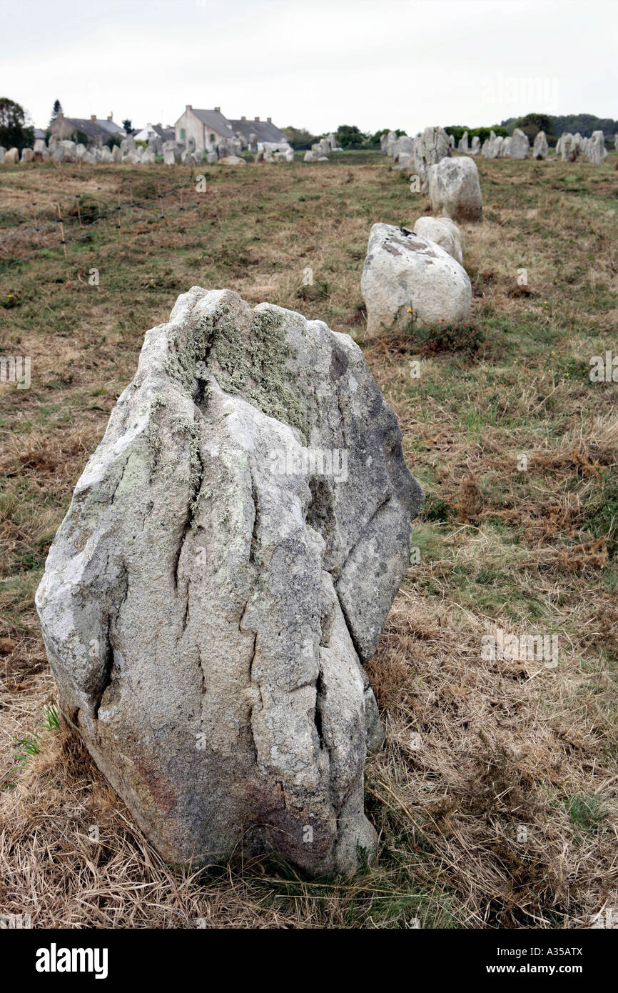 Megalithic Standing Stones at Carnac in France Stock Photo - Alamy