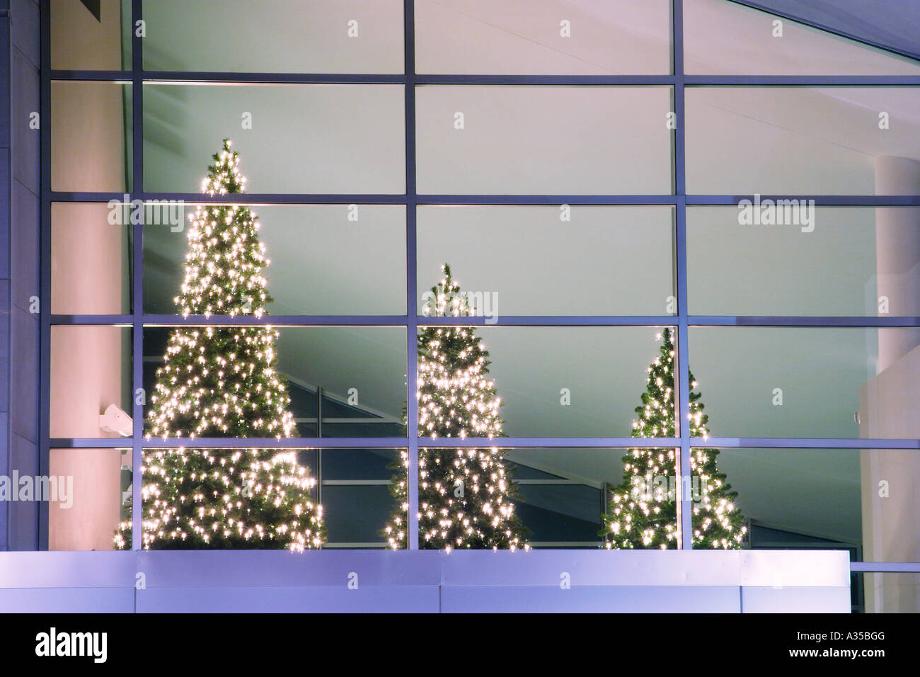 Architectural Christmas Trees Stock Photo - Alamy