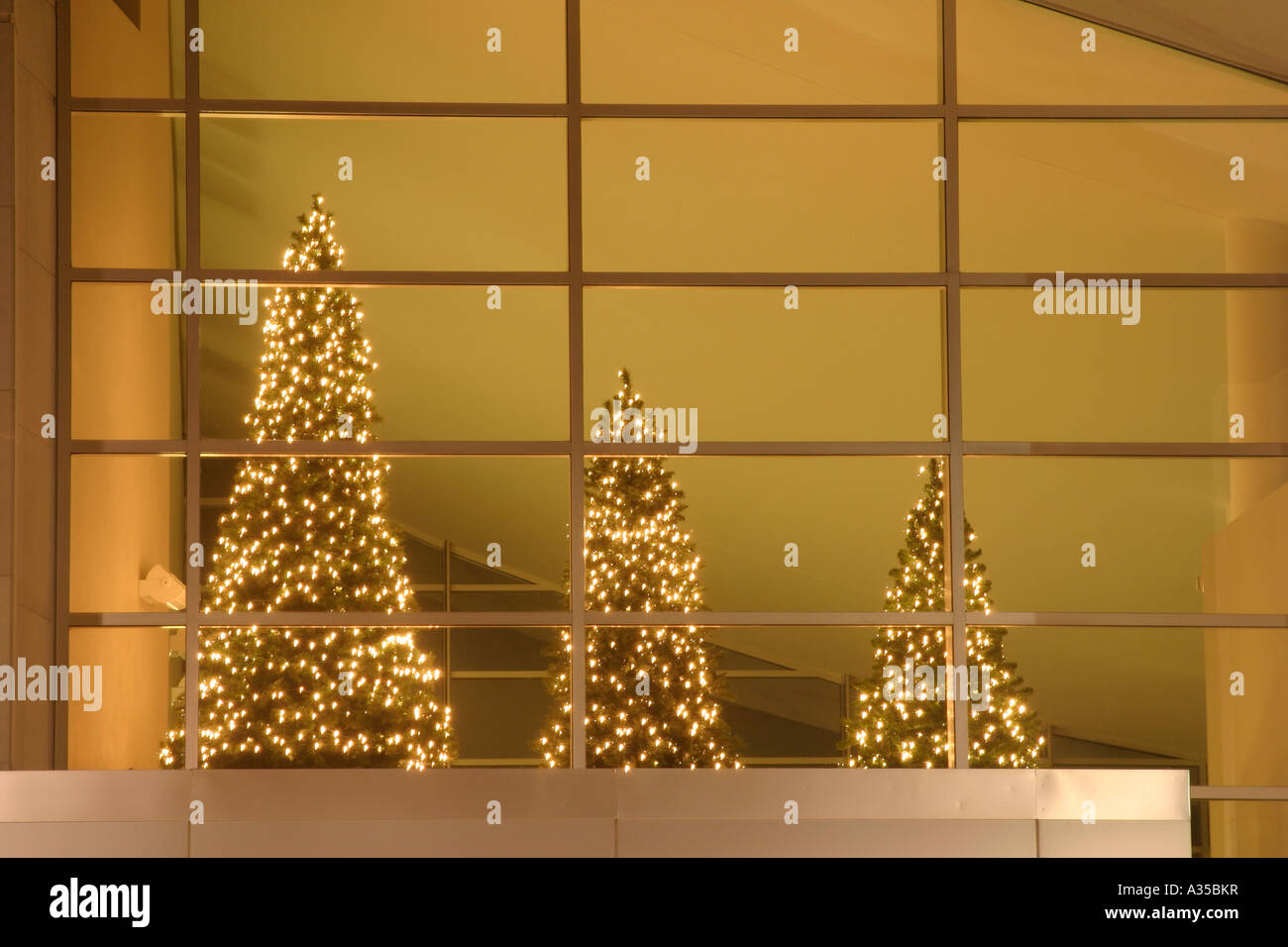 Architectural Christmas Trees Stock Photo - Alamy