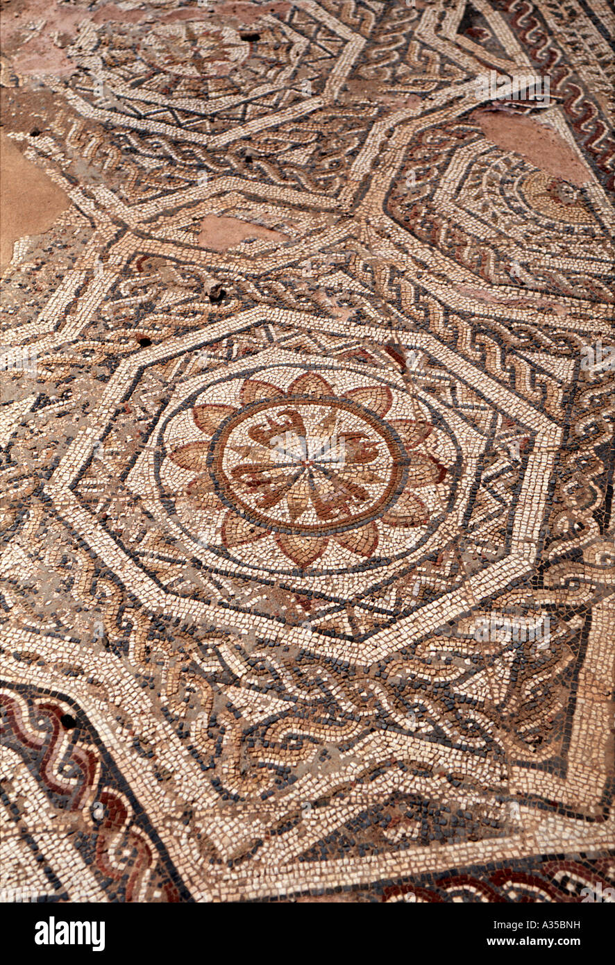 Mosaic floor in the Roman Ruins at Nora Sardinia Stock Photo - Alamy