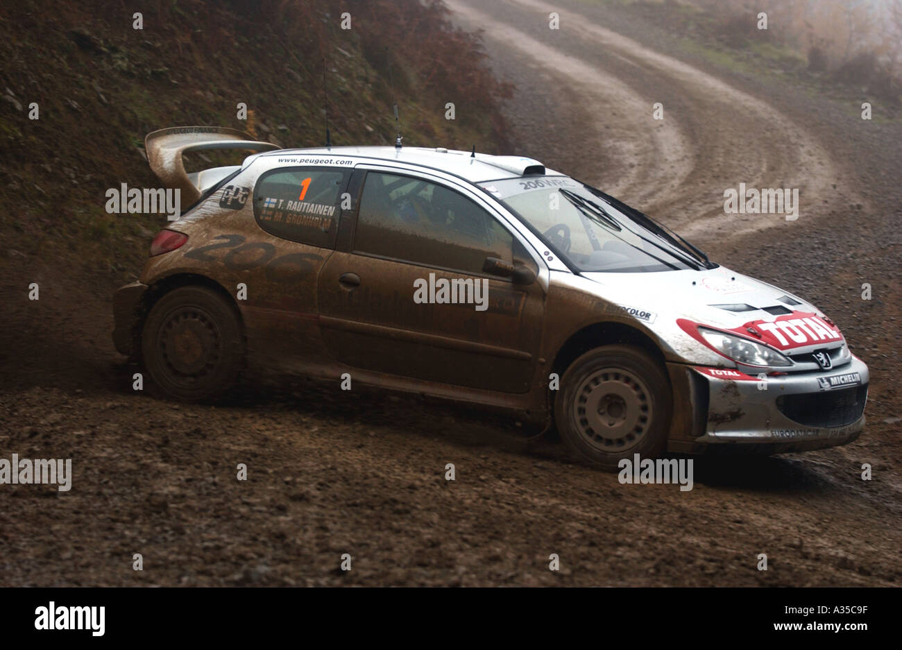 Peuget 206 WRC on the Network Q rally Great Britain Stock Photo - Alamy