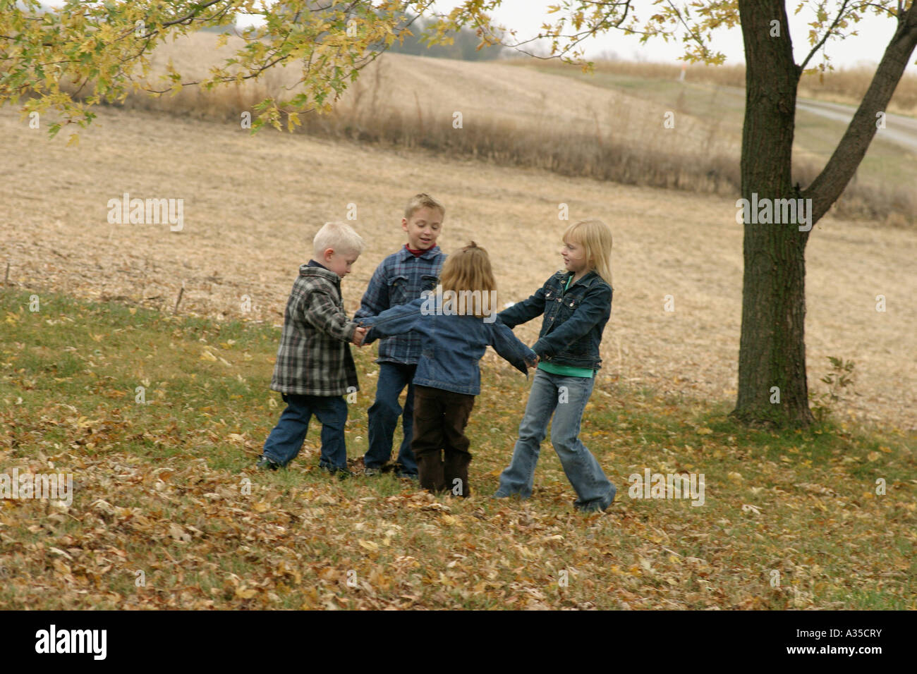 Ring Around the Rosie Stock Photo - Alamy