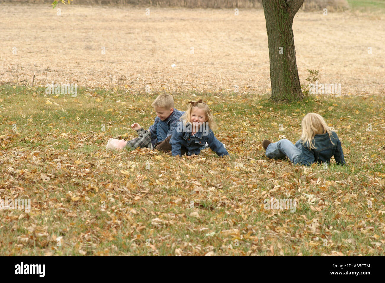 Kids Playing in Yard Stock Photo - Alamy