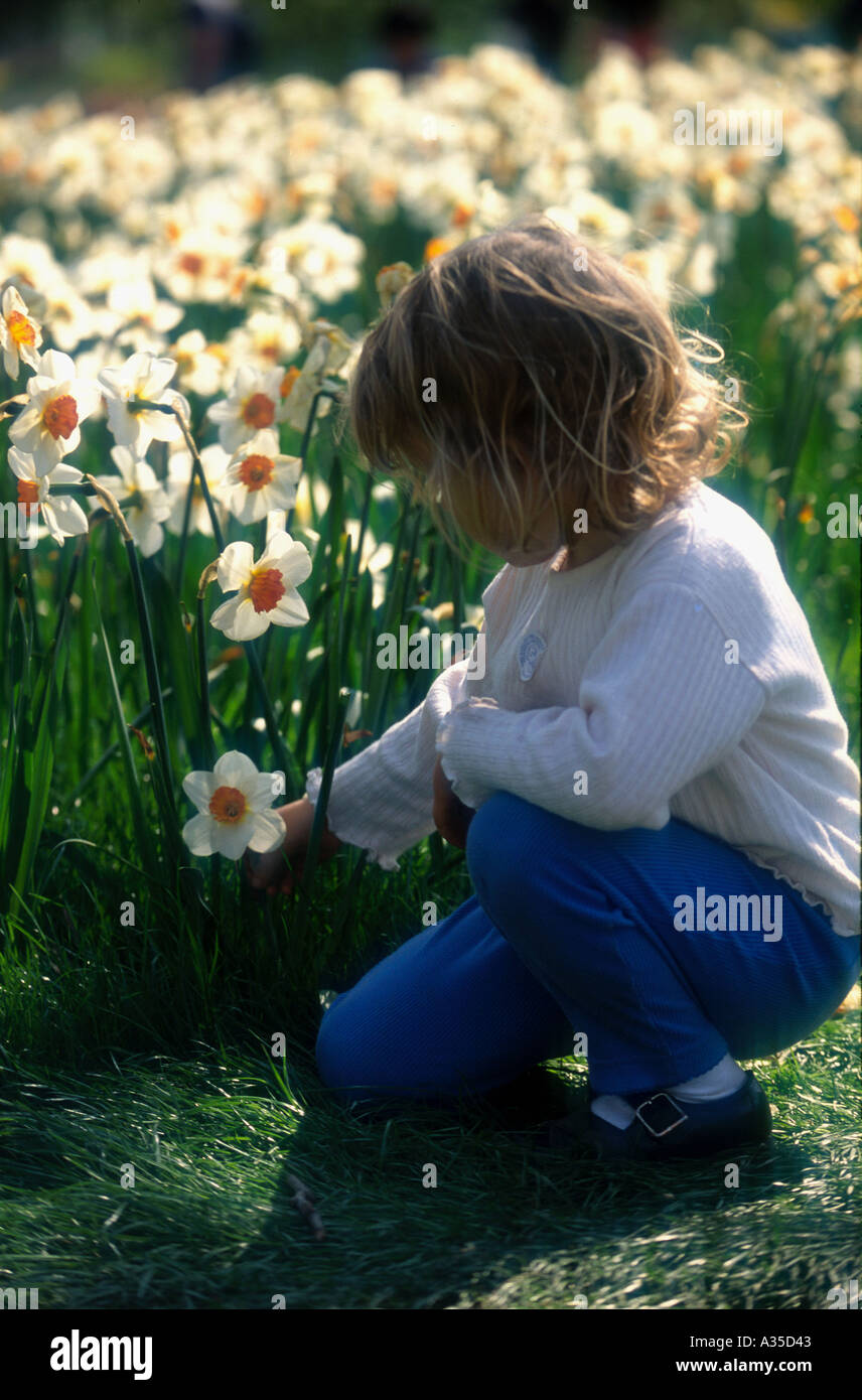 Child gathering flowers hi-res stock photography and images - Alamy