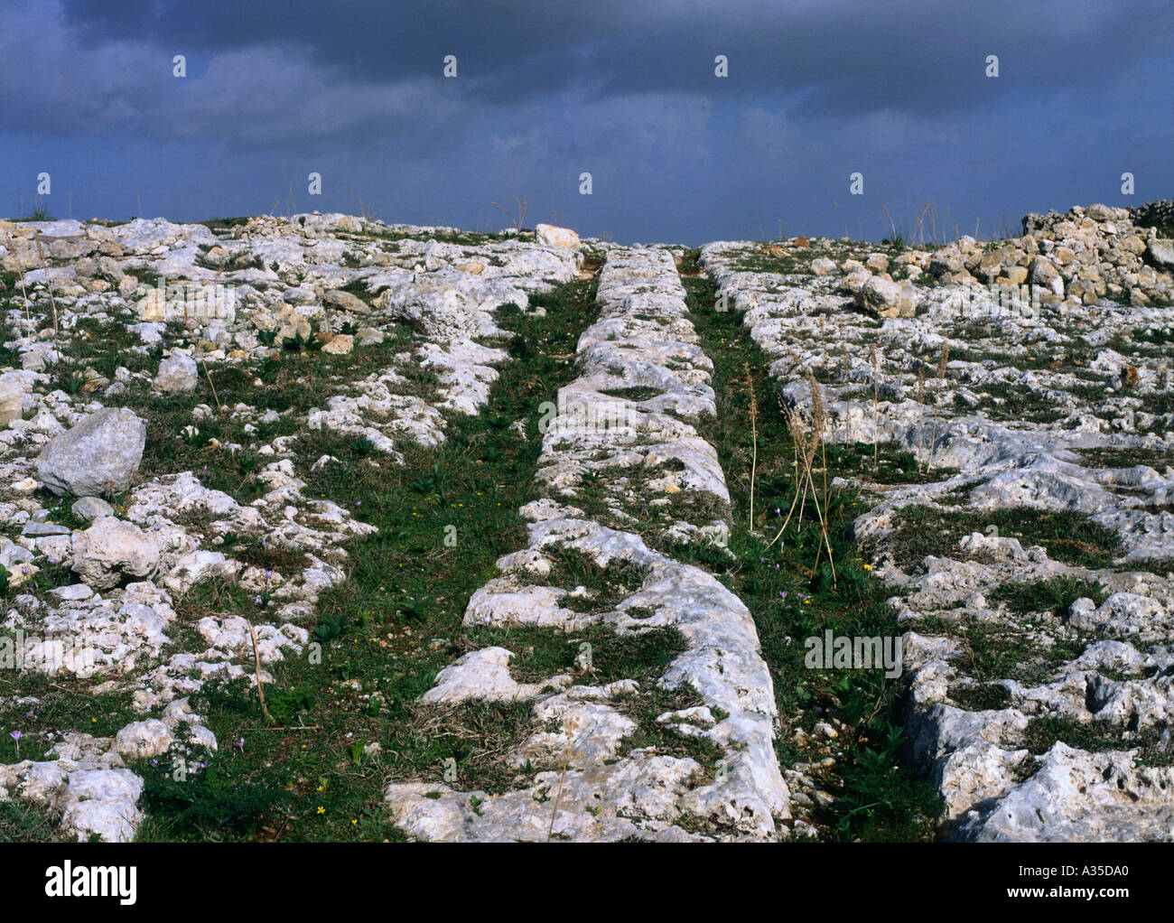 Cart ruts hi-res stock photography and images - Alamy