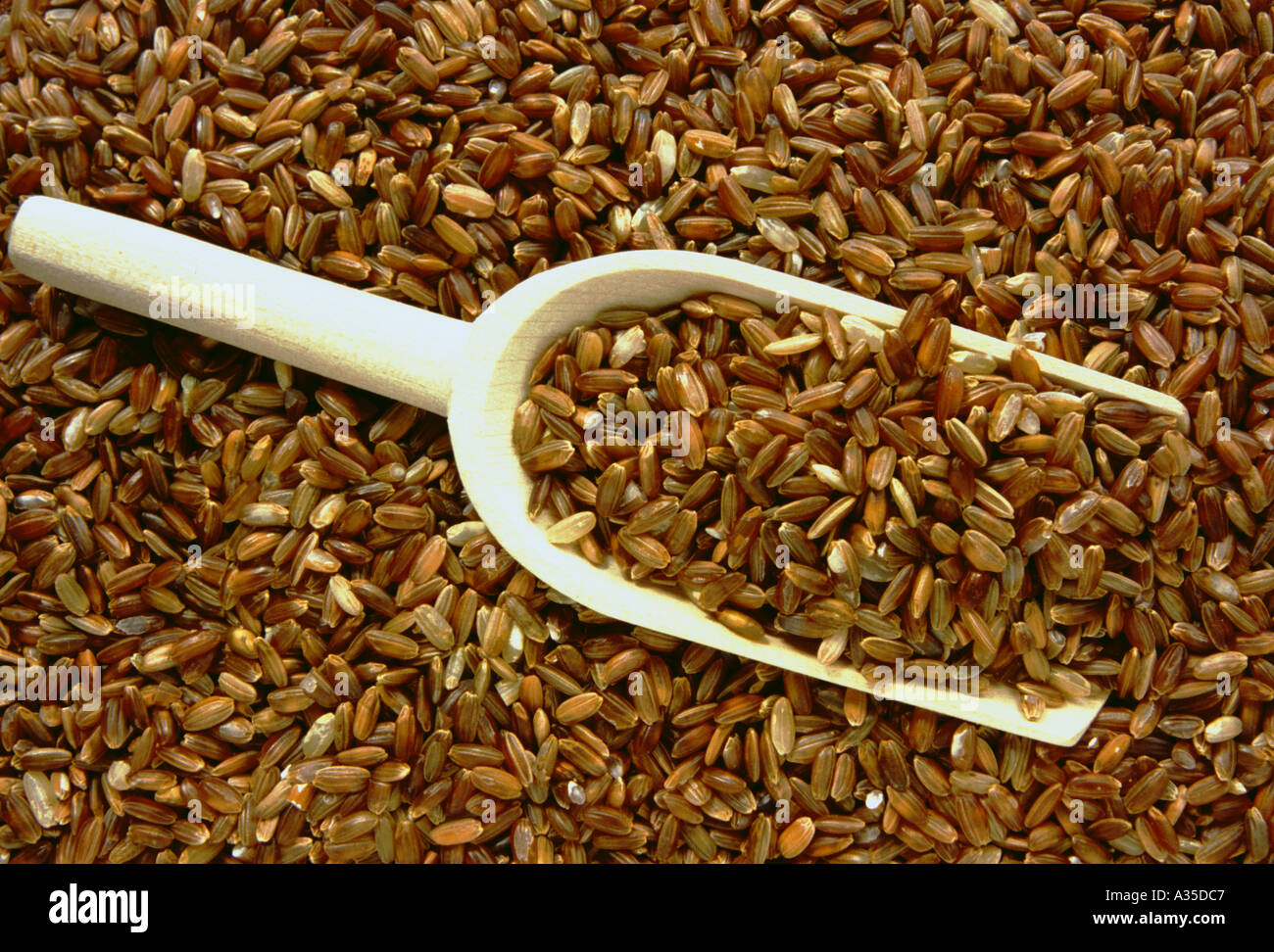 Red rice camargue france hi-res stock photography and images - Alamy