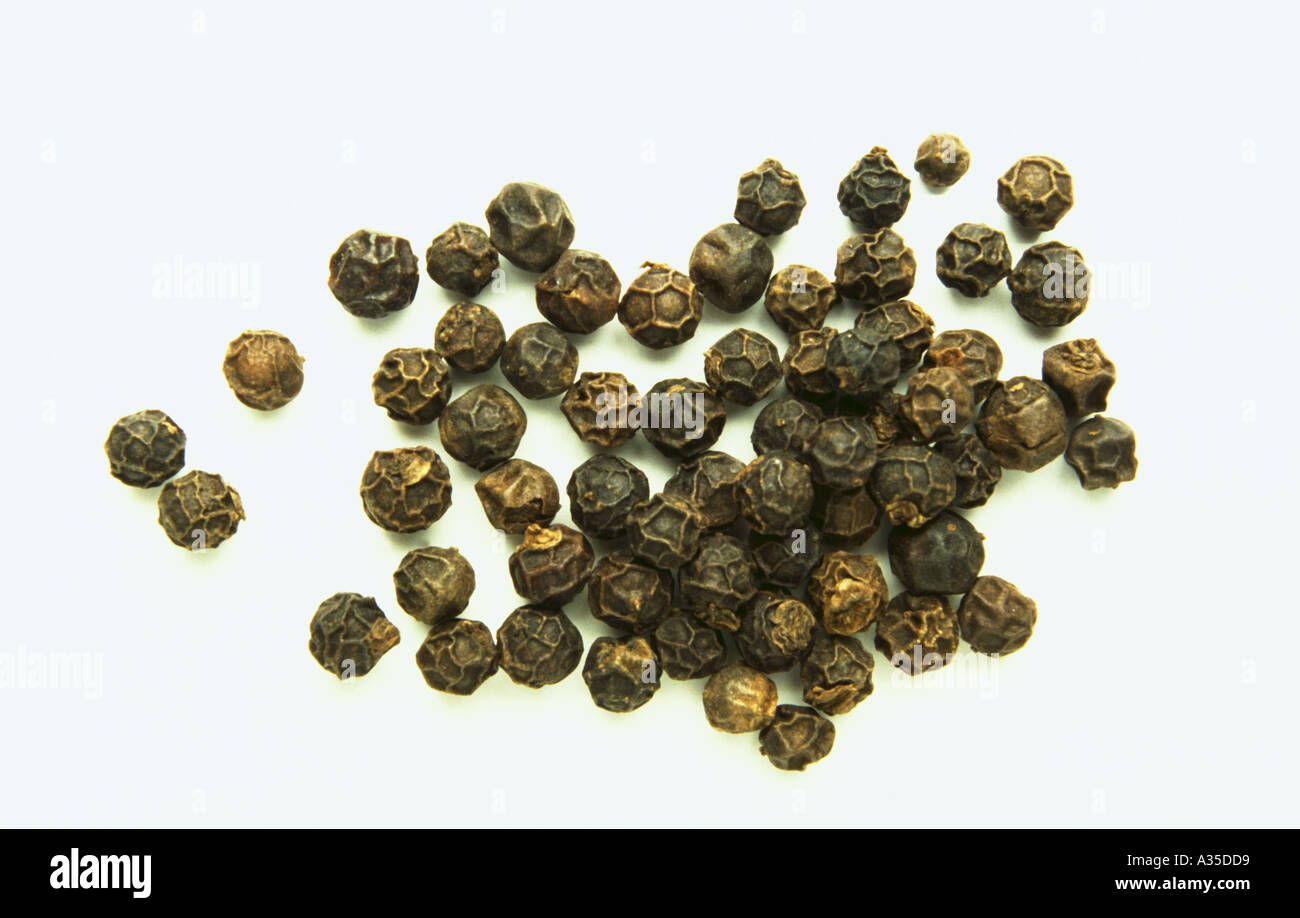 Black Pepper Corns Stock Photo - Alamy