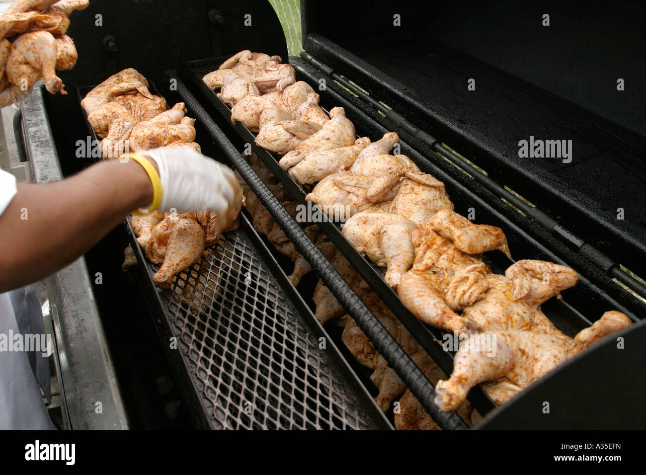 Chicken fowl hi-res stock photography and images - Alamy