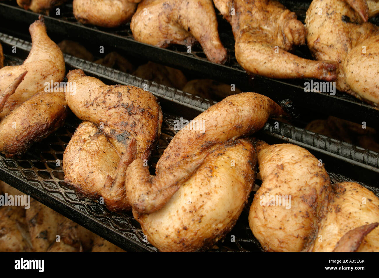 Chicken fowl hi-res stock photography and images - Alamy