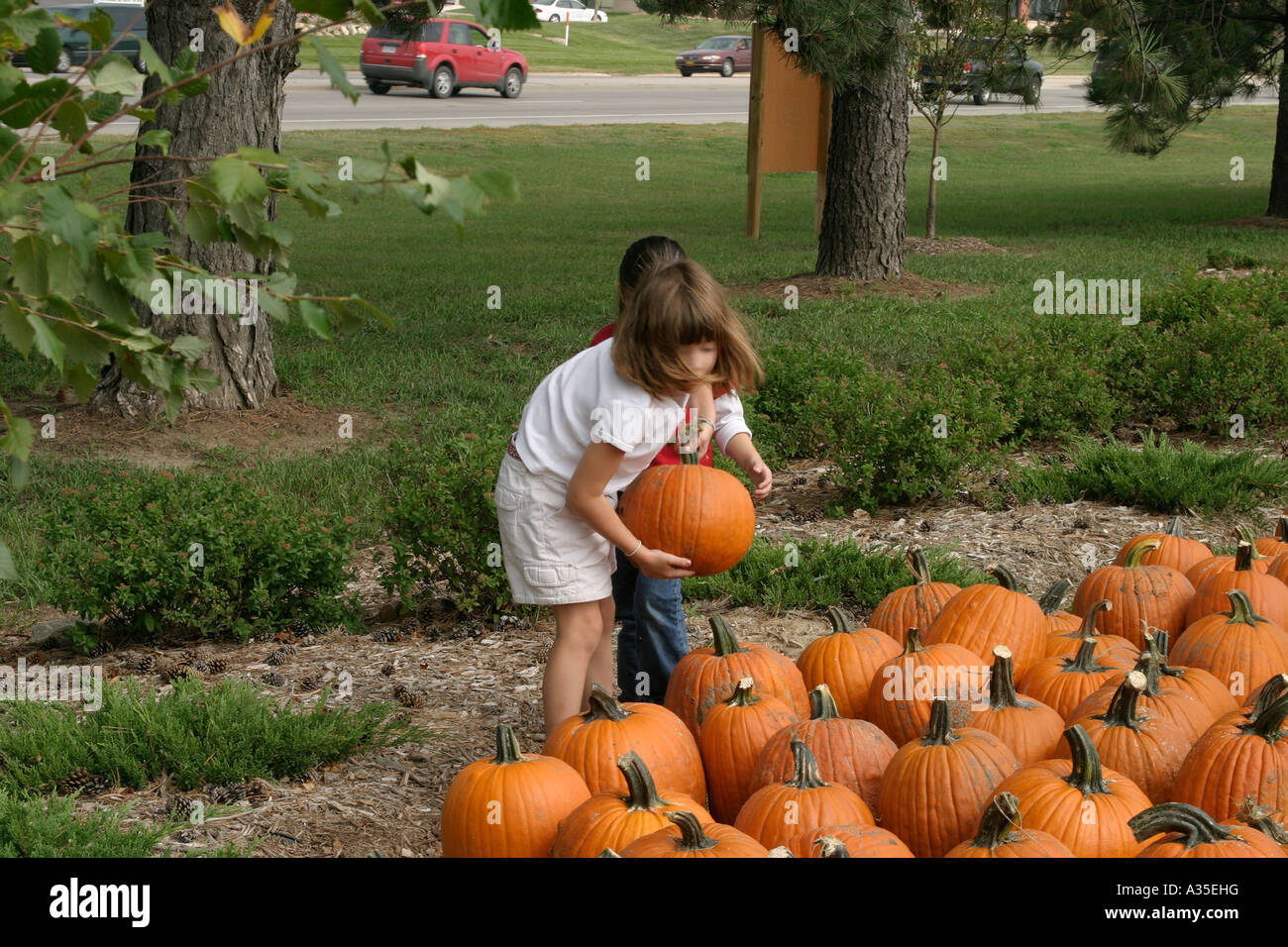 Picking out pumpkins hi-res stock photography and images - Alamy