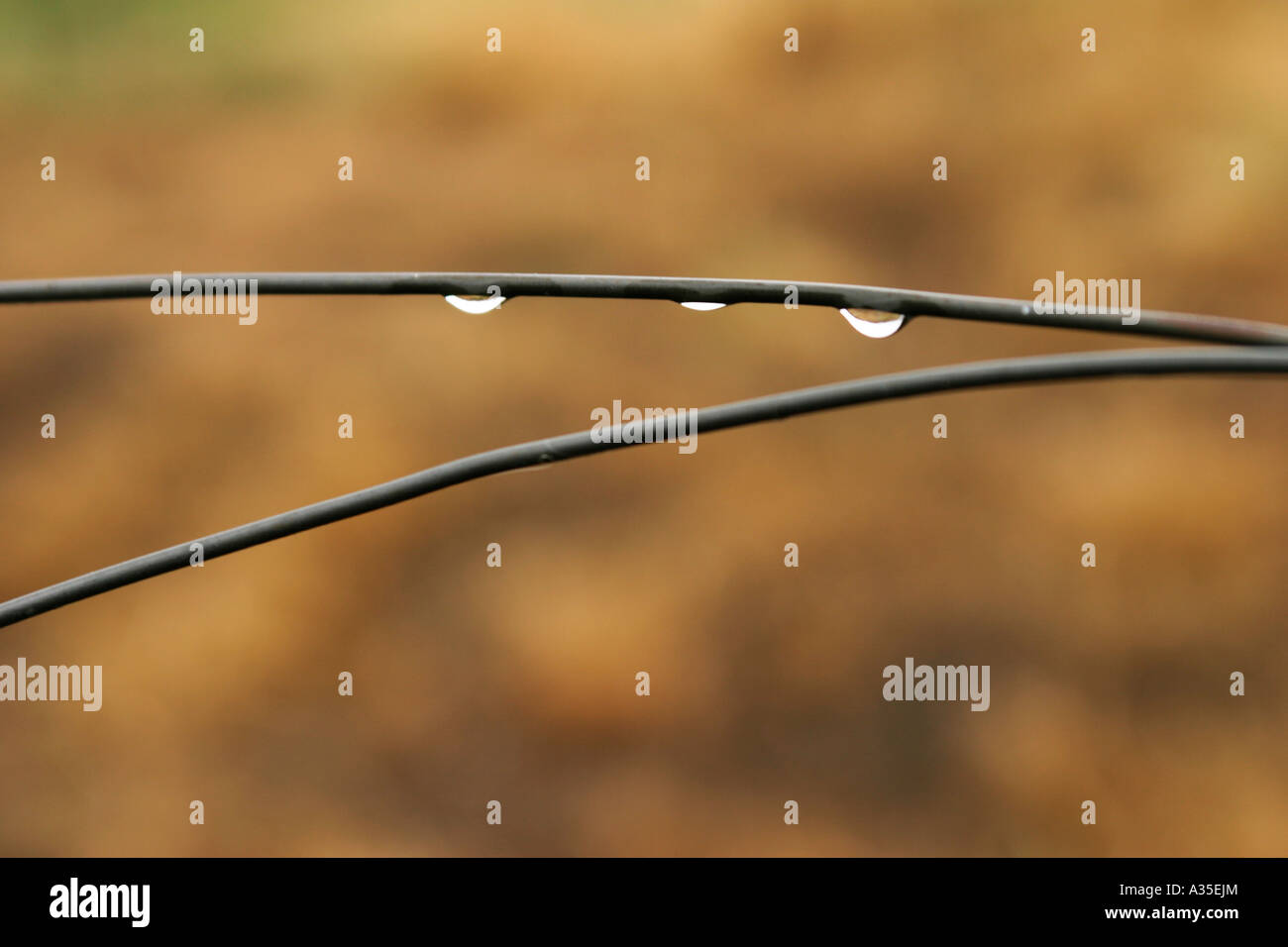 Wire water drops hi-res stock photography and images - Alamy