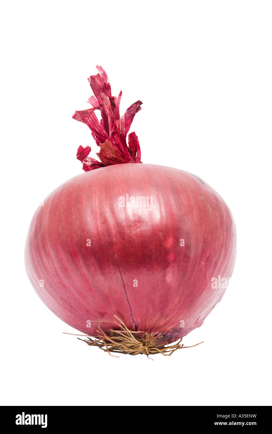 single red onion Stock Photo - Alamy
