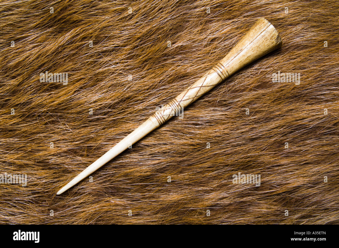 pacific northwest native american decorated bone cloak pin Stock Photo ...