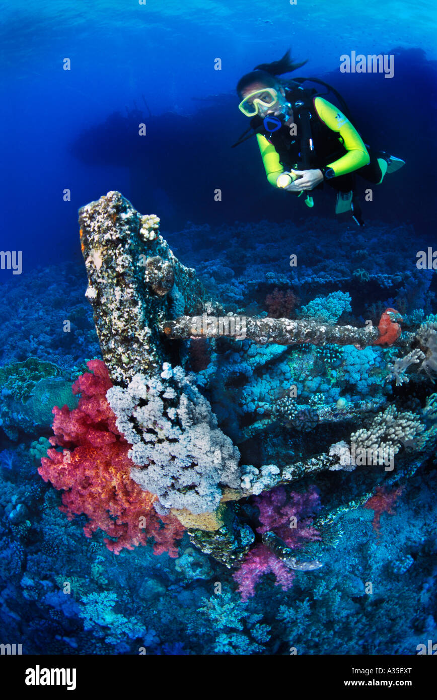 Diver on Wreck of the Sarah H Stock Photo - Alamy
