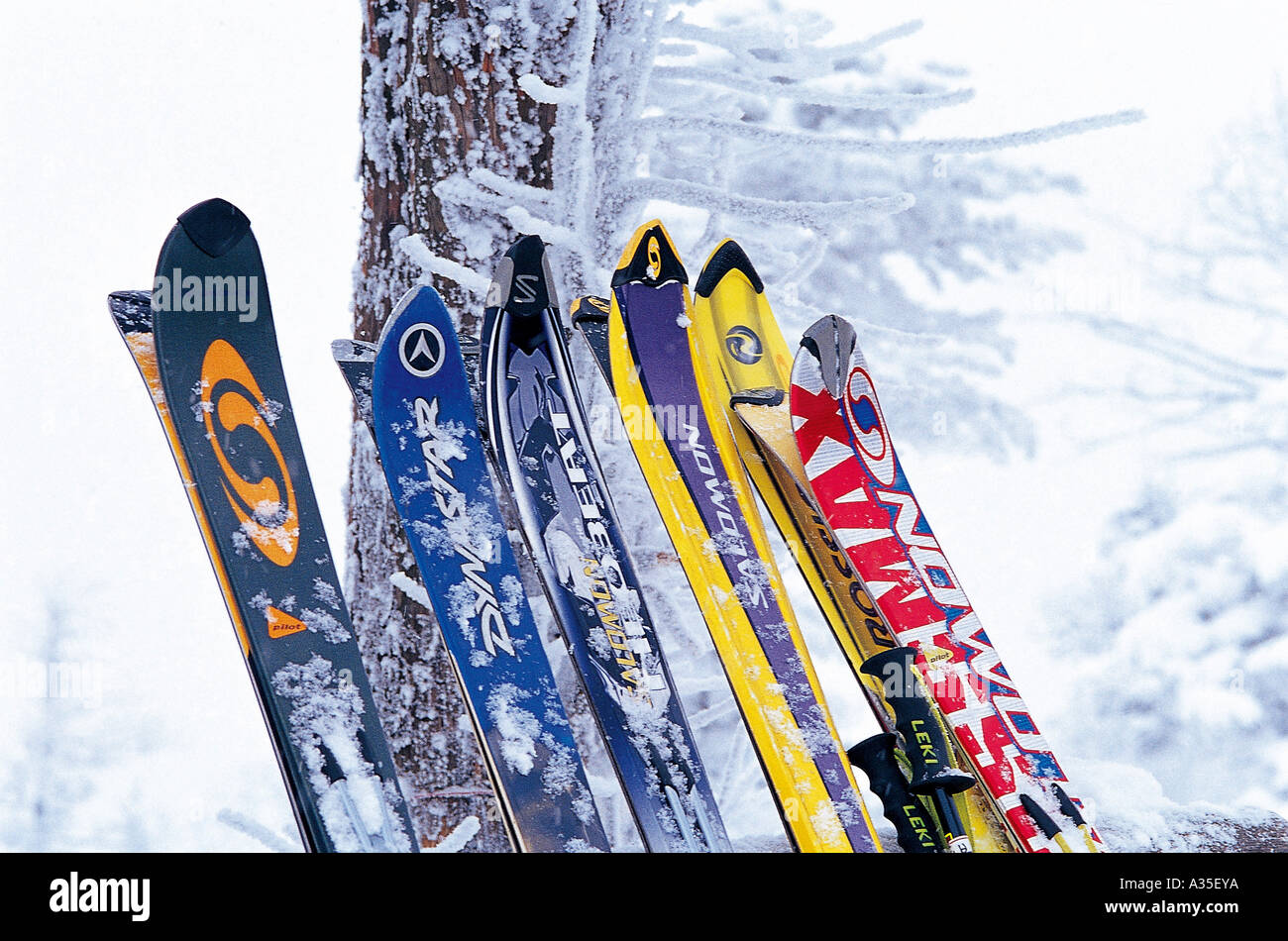 Fitting plate Cut Out Stock Images & Pictures - Alamy