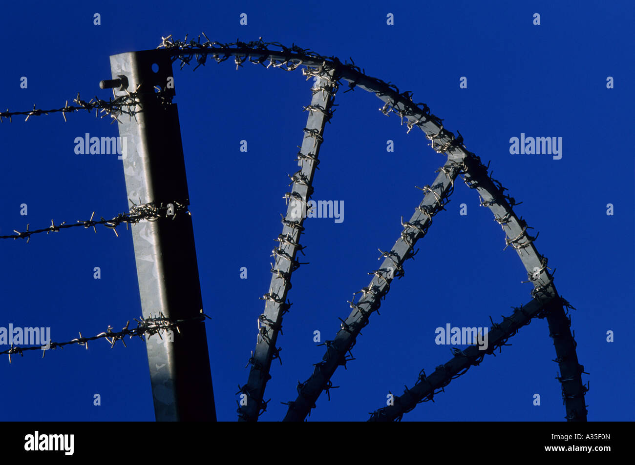 Barbed wire on steel, galvanised, security fencing Stock Photo - Alamy
