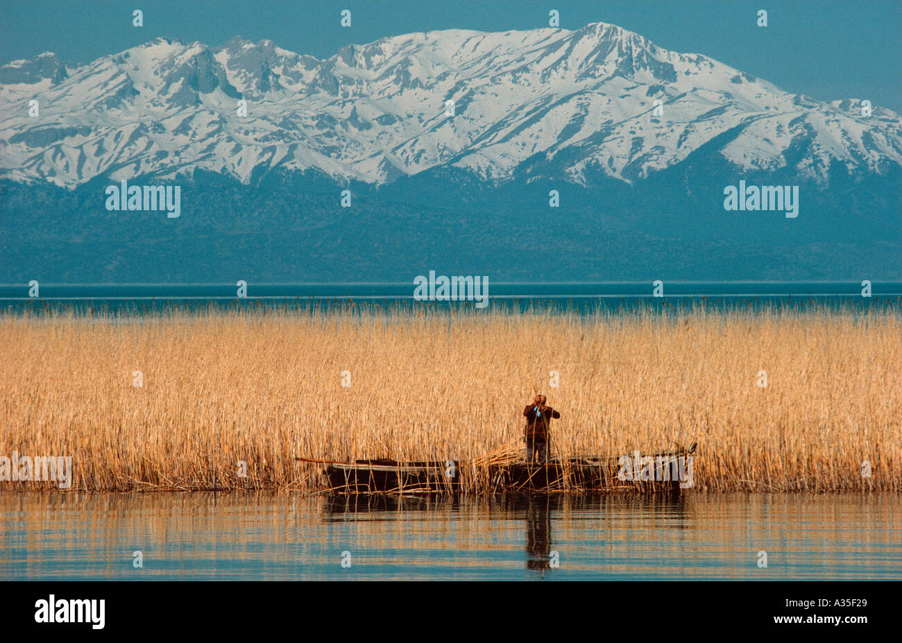 Reeds boat hi-res stock photography and images - Alamy
