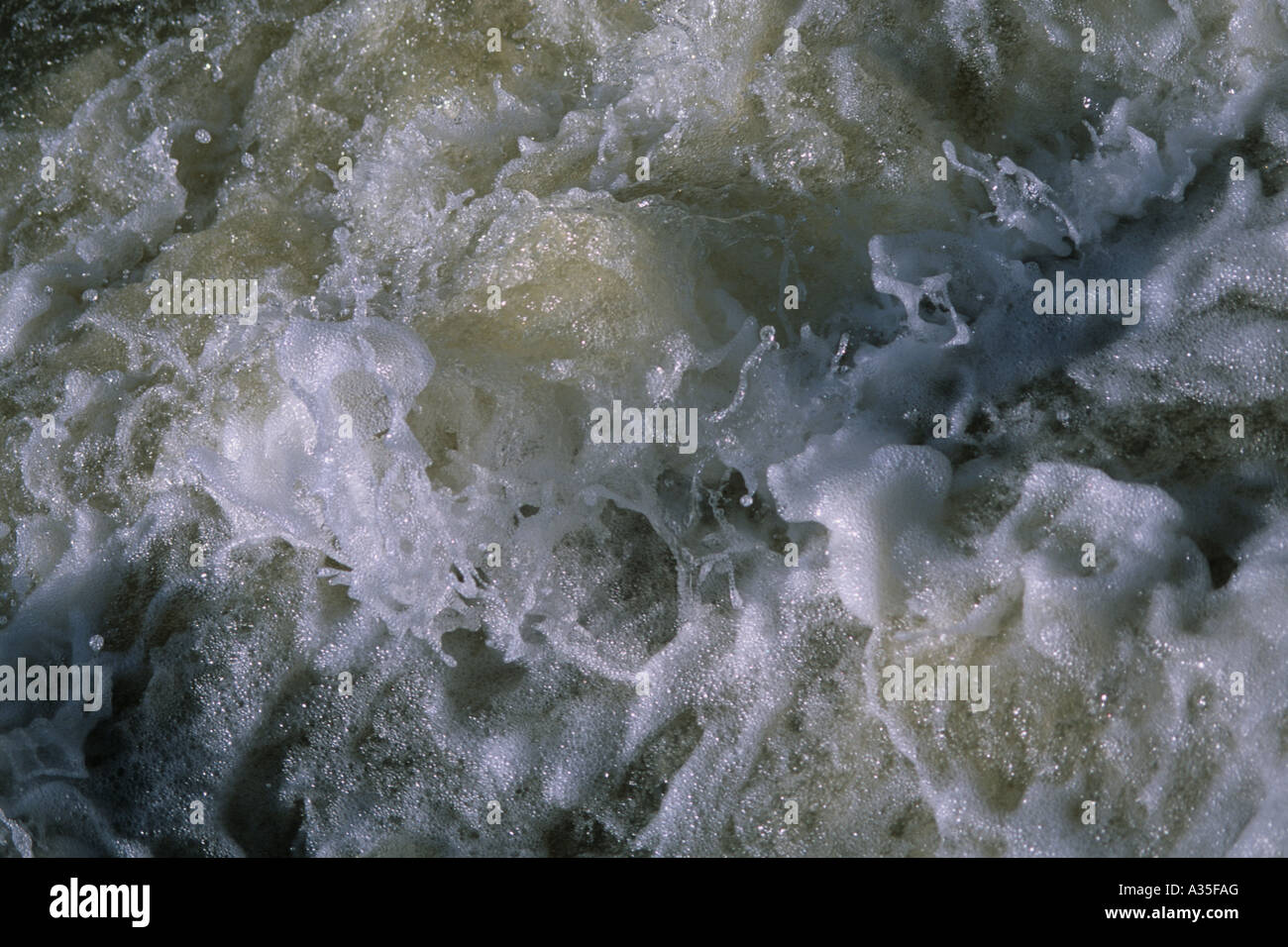 Turbulent, silt ladened, flood water, at base of lowland river water ...