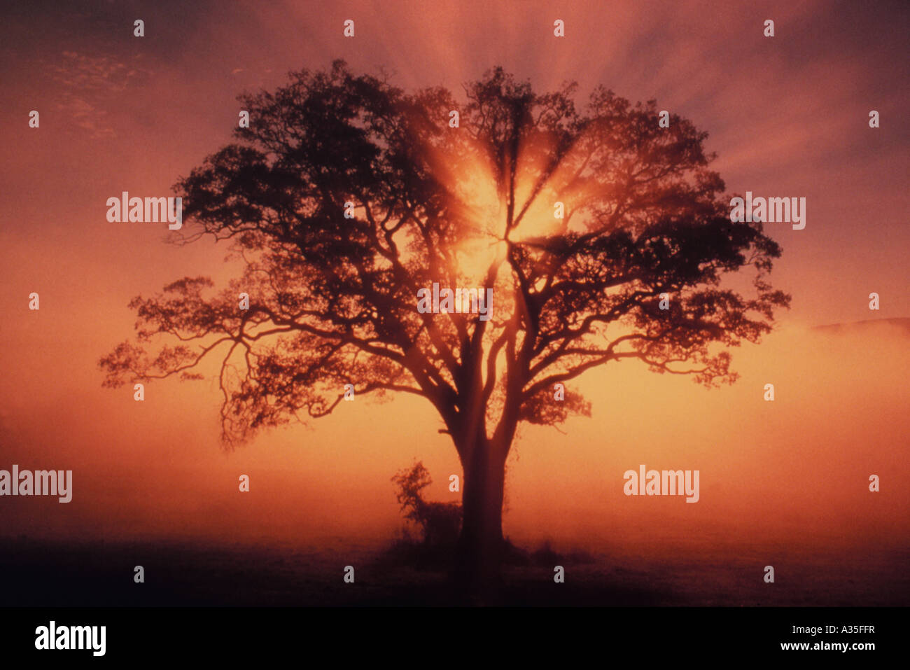 New England sunrise Stock Photo - Alamy