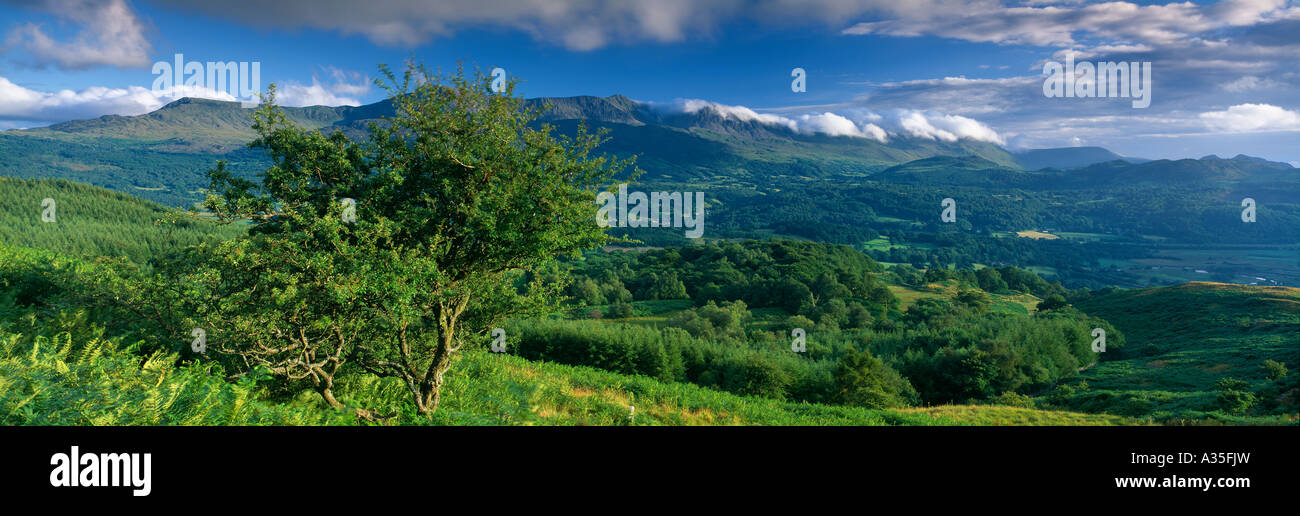 Cadair Idris and the Mawddach Estuary form the Precipice Walk nr ...