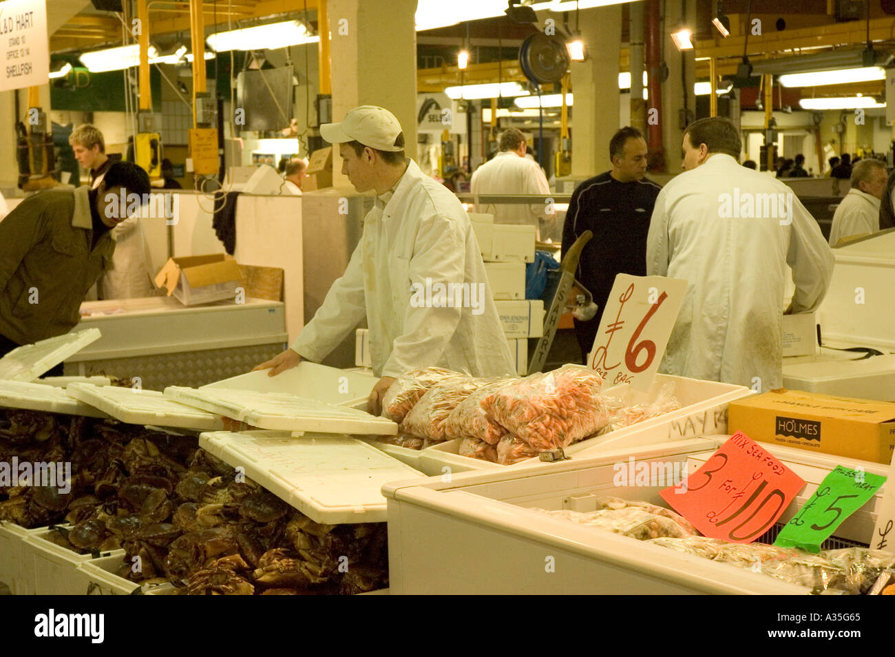 The Billingsgate Fish Market at Canary Wharf in London Stock Photo - Alamy