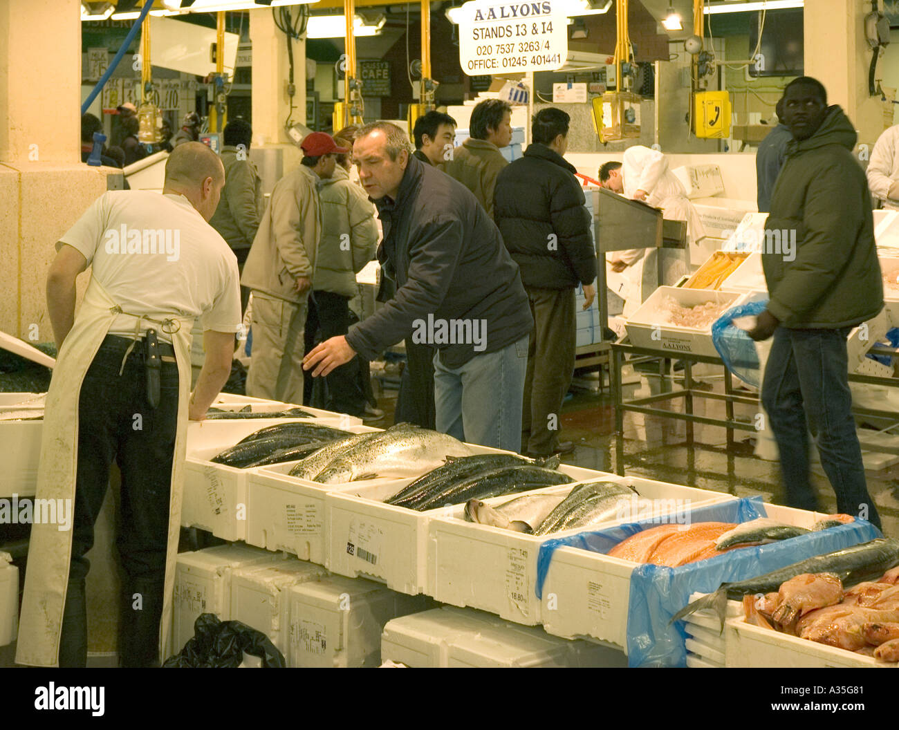 Photo from the Billingsgate Fish Market at Canary Wharf in London Stock ...