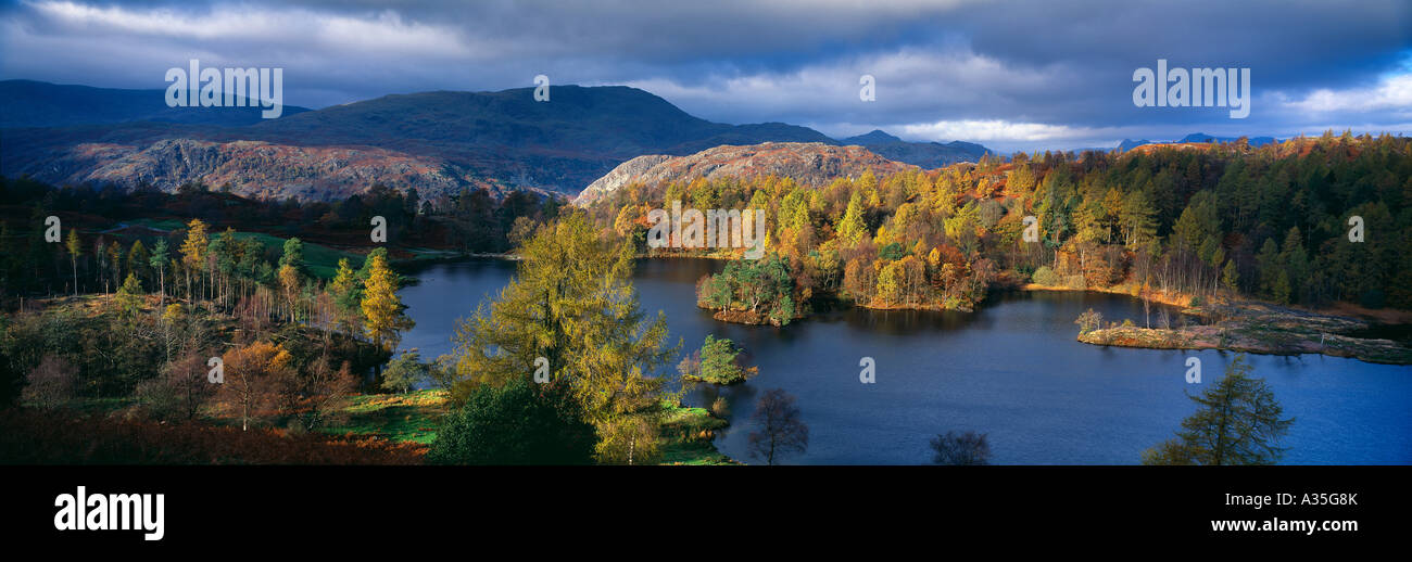 Tarn Hows nr Hawkshead Lakes District Cumbria England UK NR Stock Photo ...