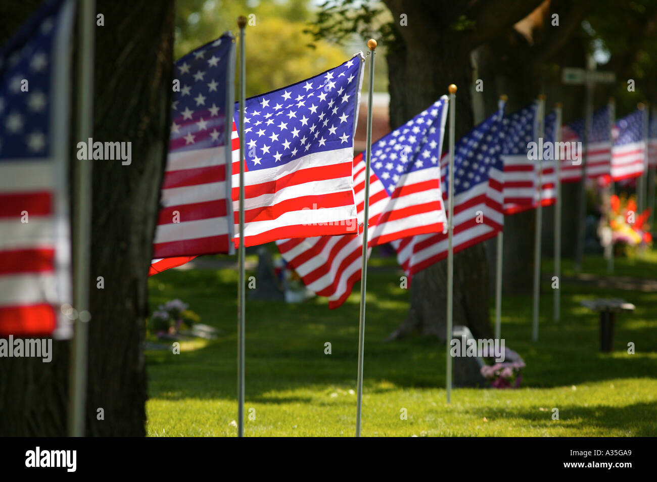 American flag display at a cemetery on Memorial Day Stock Photo - Alamy