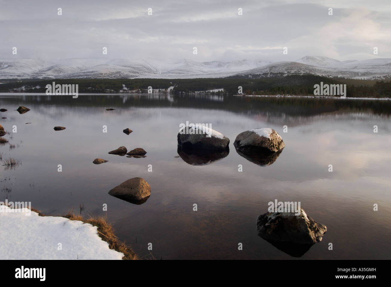 Loch morlich frost hi-res stock photography and images - Alamy