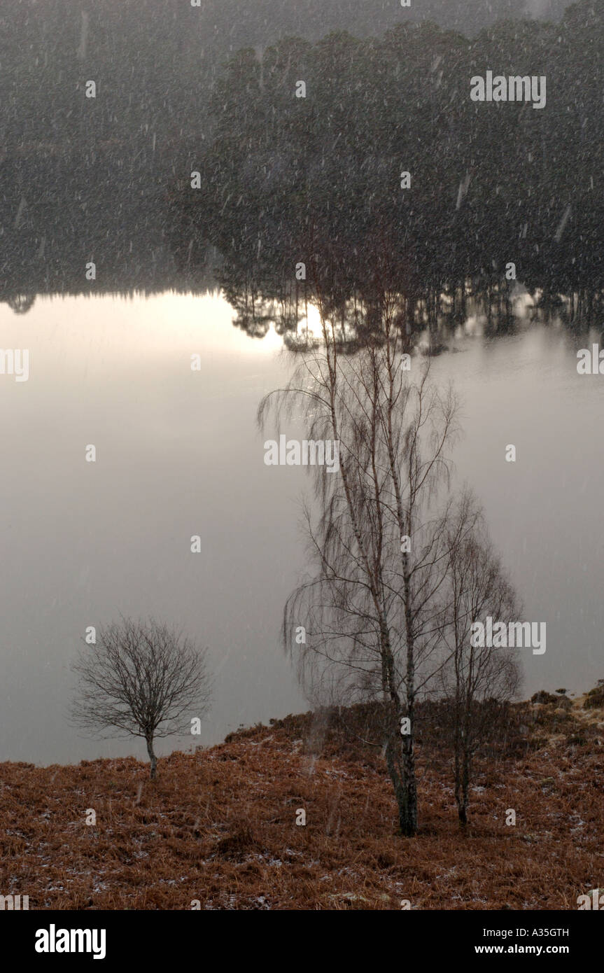 Strathglass affric hi-res stock photography and images - Alamy