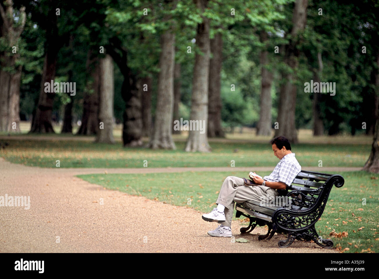 A man reads a book on a park bench in London's Hyde Park Stock Photo ...