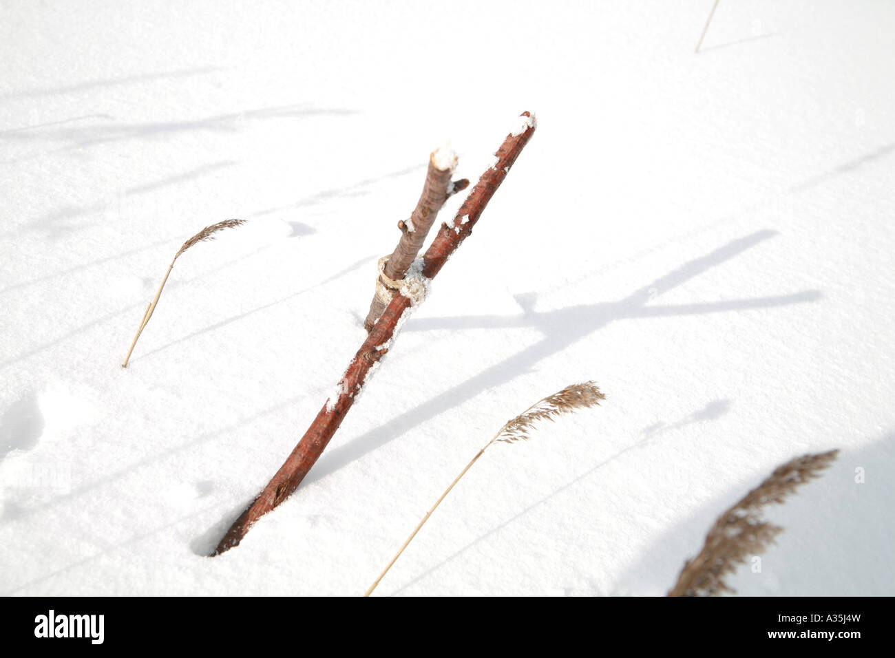 Cross in winterscene Stock Photo - Alamy
