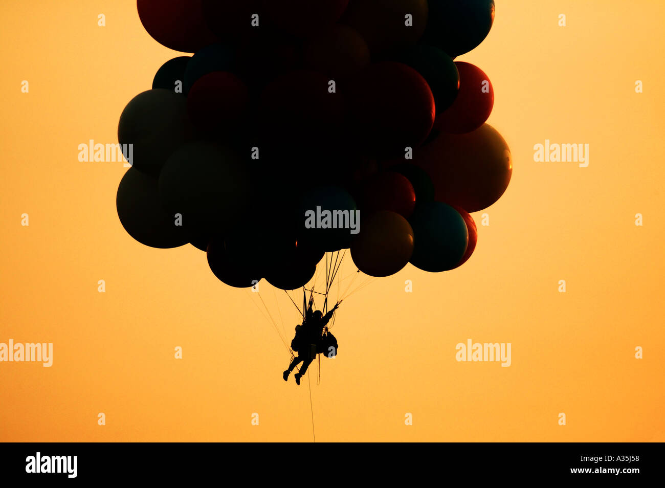 Man in flight attached to large helium balloons Stock Photo - Alamy