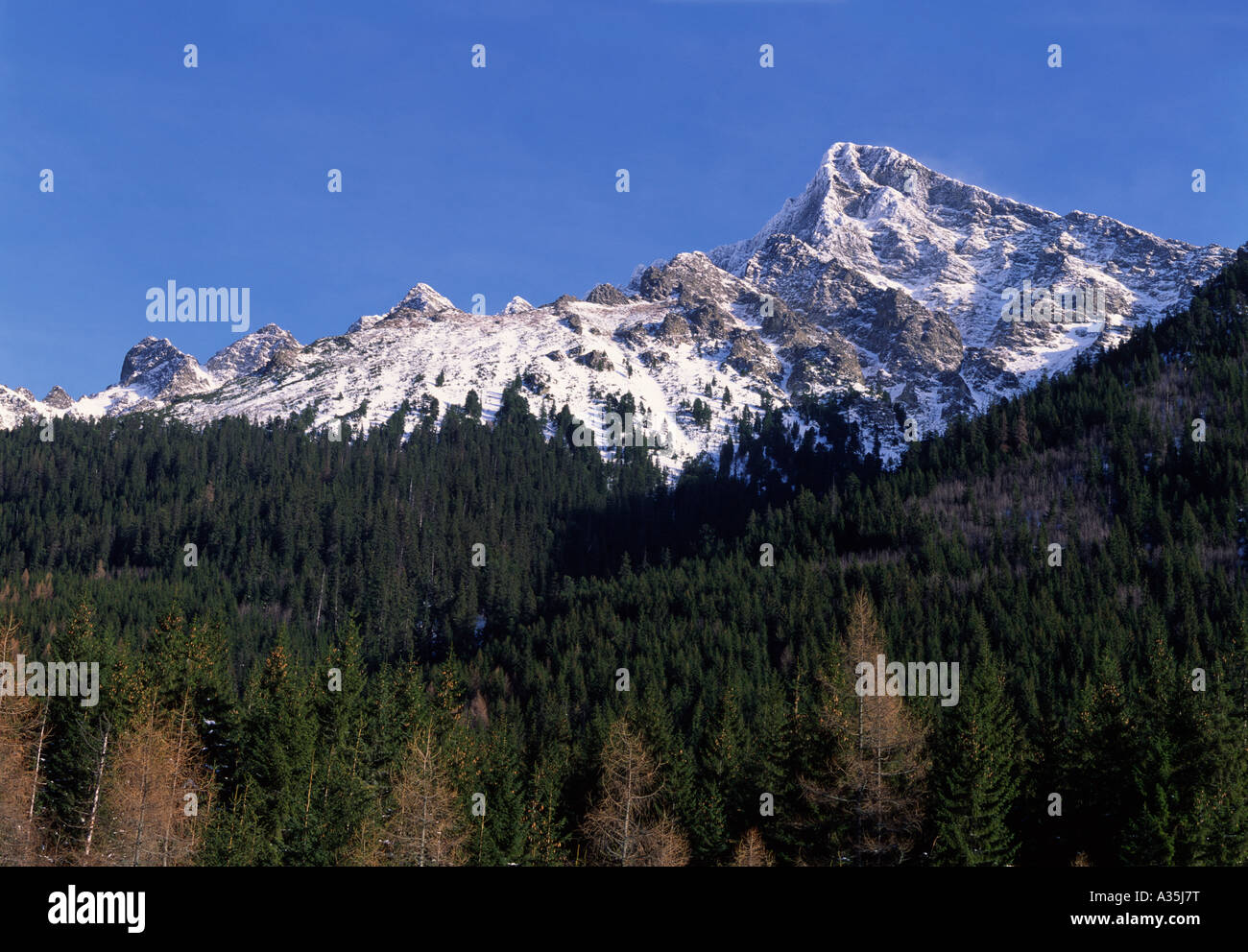 Snow covered mount Krivan with strong winds on the summit, High Tatras ...