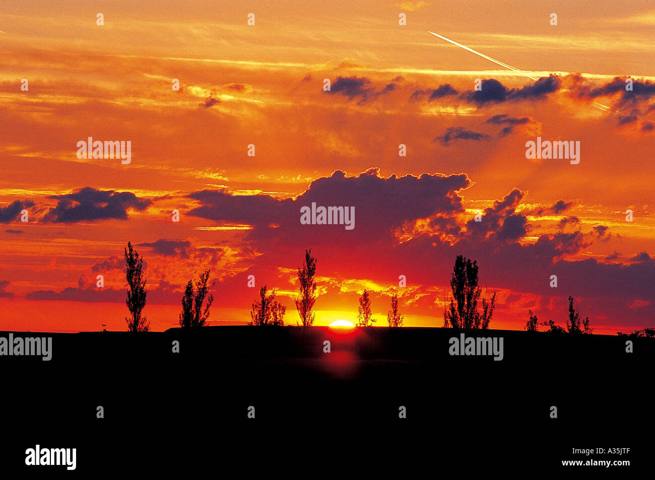 Pck51001day hi-res stock photography and images - Alamy