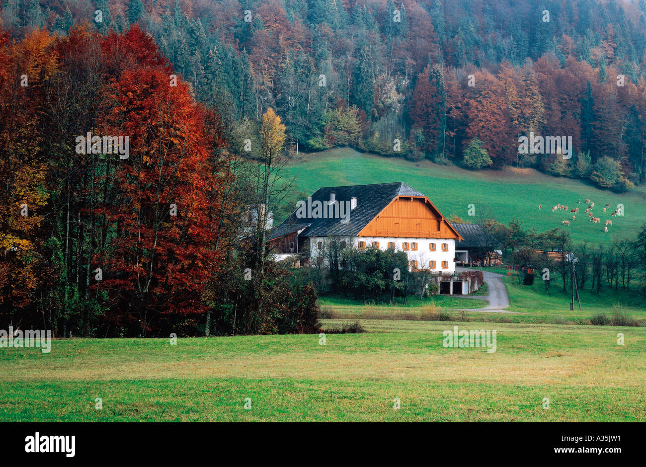 Ruralscene scenery hi-res stock photography and images - Alamy