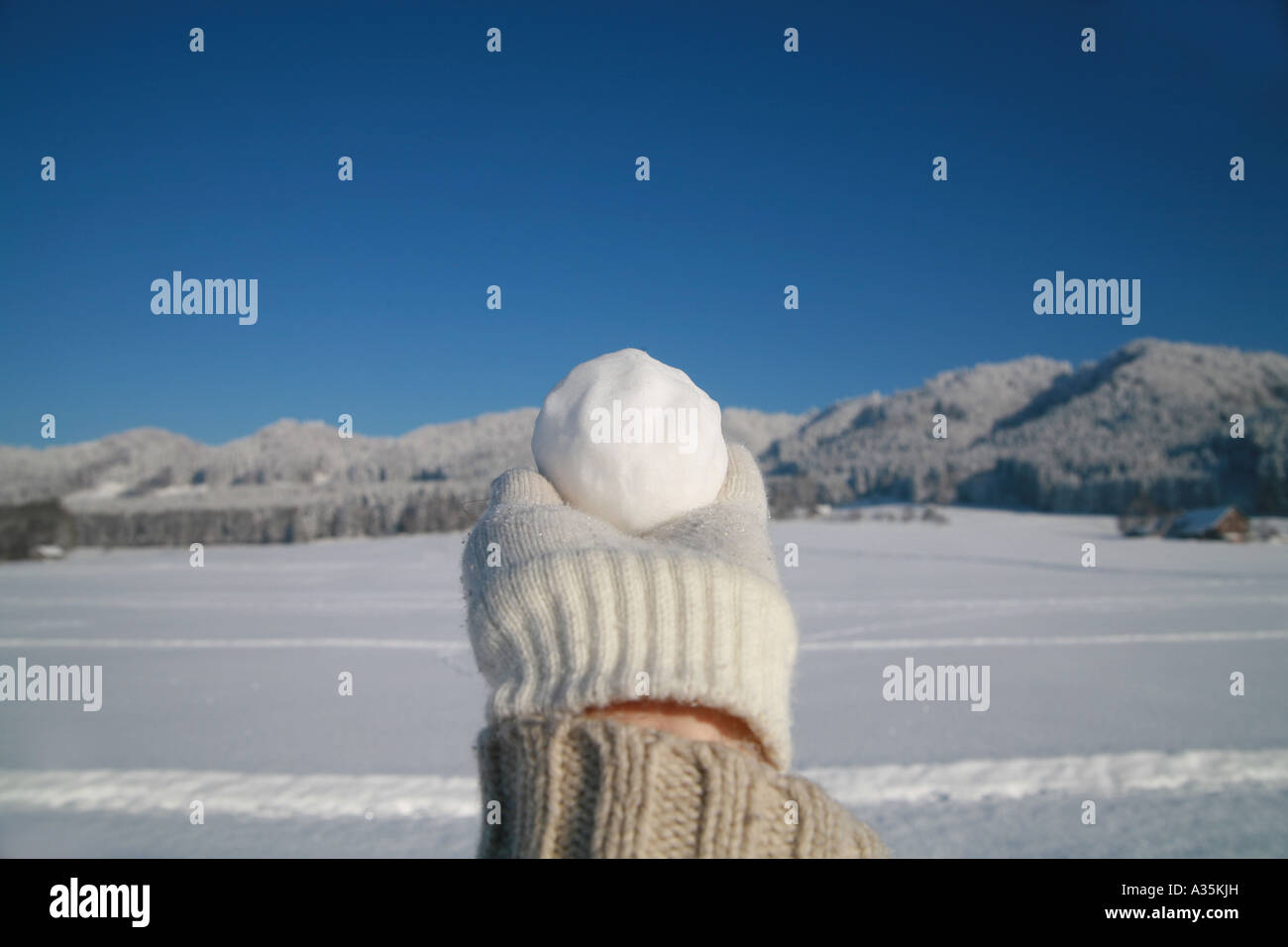 happy snowball fight in wintertime Stock Photo - Alamy