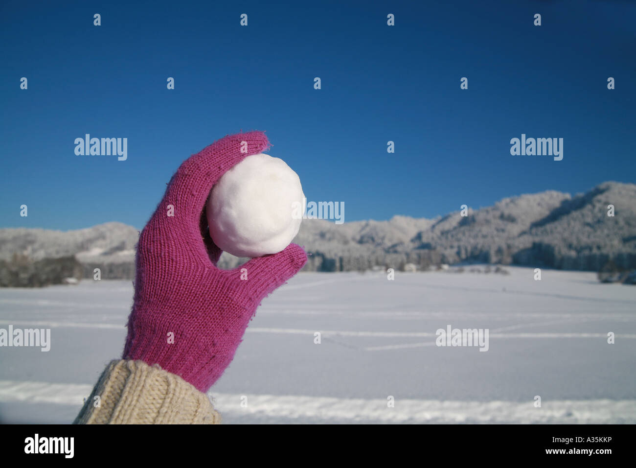 happy snowball fight in wintertime Stock Photo - Alamy