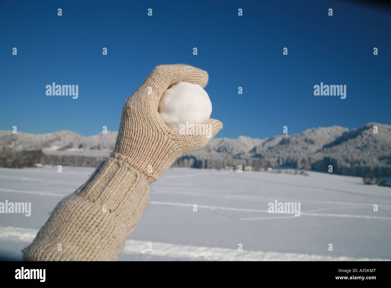 happy snowball fight in wintertime Stock Photo - Alamy