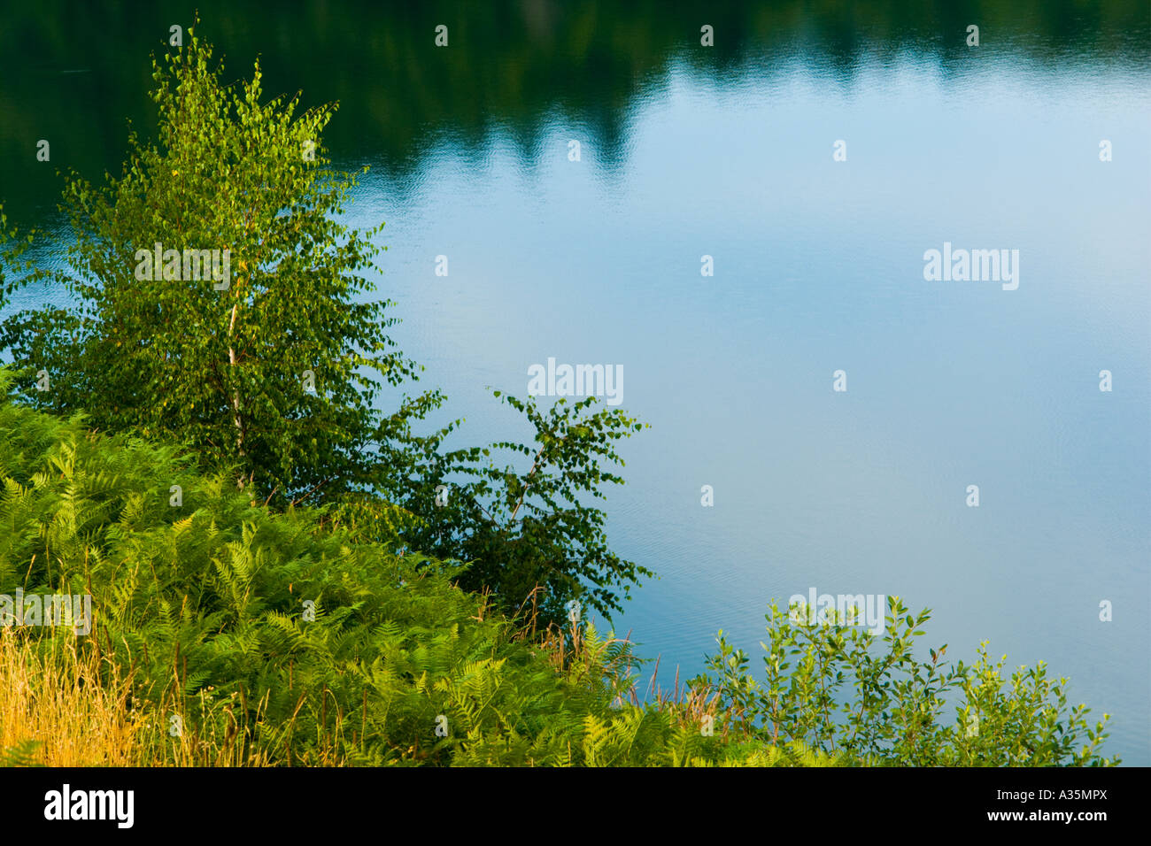 Peaceful lake scene Stock Photo - Alamy